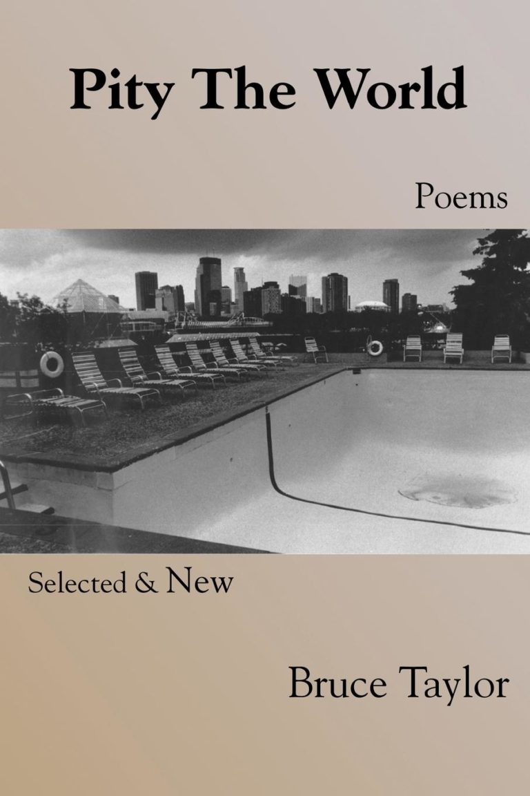 Pity the World - Plain View Press